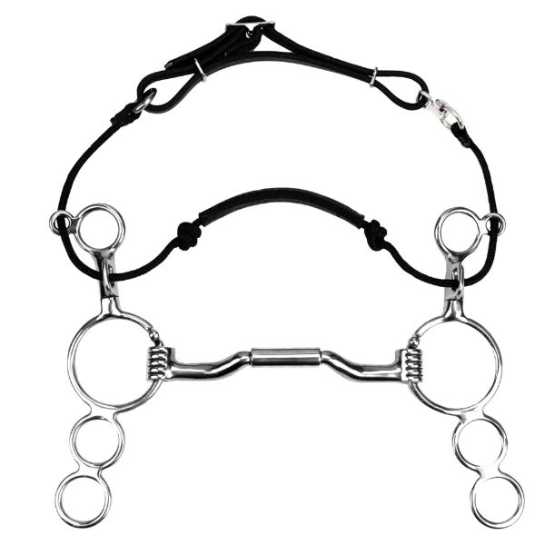 Toklat - Combination Bits